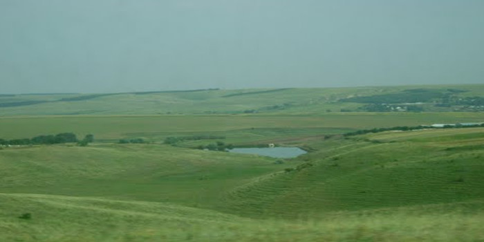 Balta Malina Galati - Taxa Balta Malina Galati