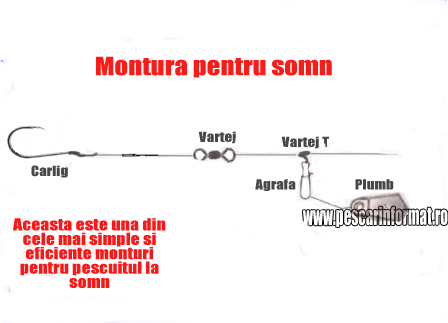 Montura pentru somn | Balti Pescuit , Monturi , Tehnici